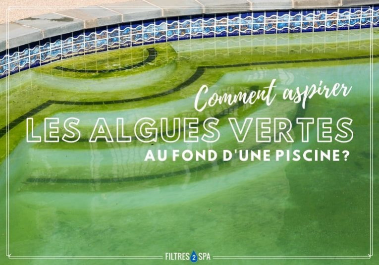 Comment éliminer les algues vertes dans sa piscine